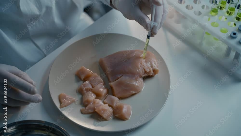 Genetic injection into raw chicken meat. Scientist doing injection to ...