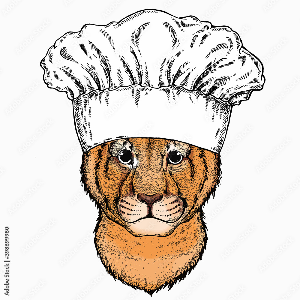 Vector portait of small baby lion head, face. Chef cook hat. Restaurant ...