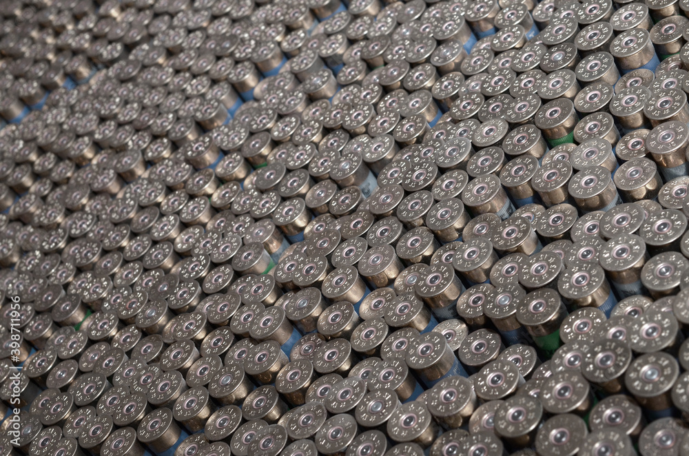 Pattern of 12 gauge cartridges for shotgun bullets. Shells for hunting ...