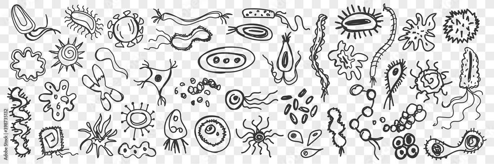 Microorganisms, bacteria doodle set. Collection of funny hand drawn ...