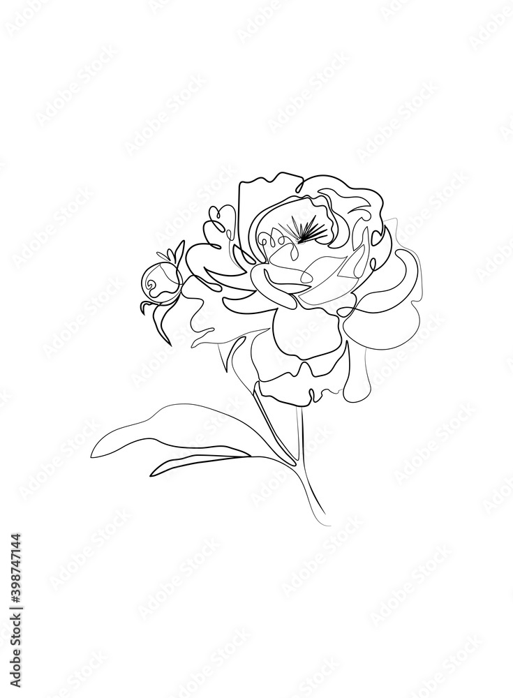 Peony in one line art drawing style. Vector illustration. Simple Art ...