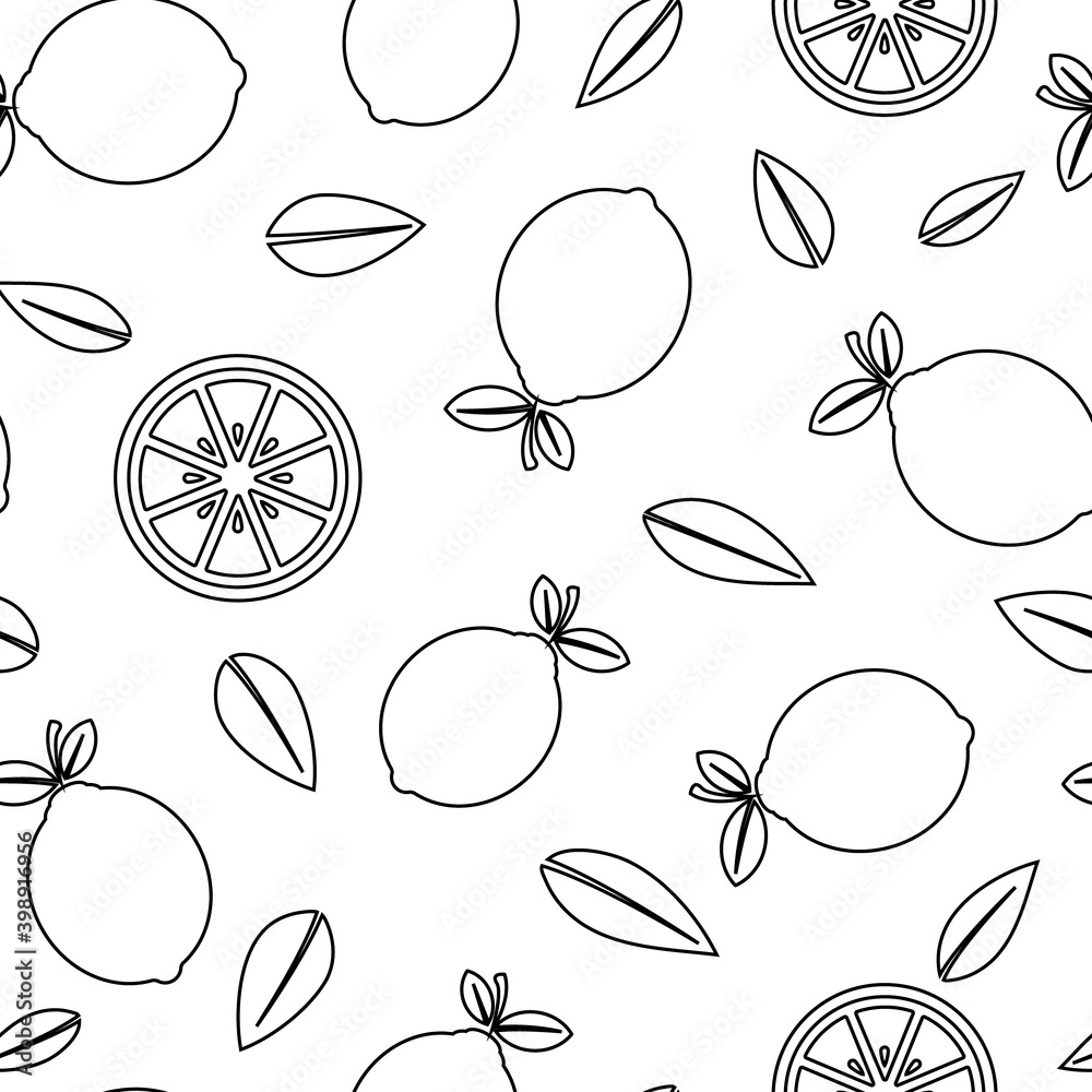 Lemon full, slices and leaves outline, sketch drawing vector ...