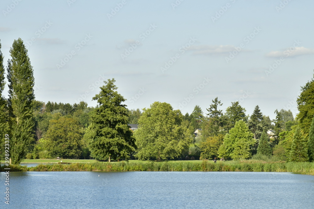 Variété d'arbres feuillus et conifères le long des étangs du parc de ...