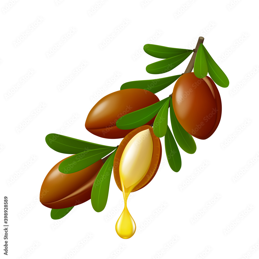 Branch of argan nuts with leaves and drop of oil isolated on white ...