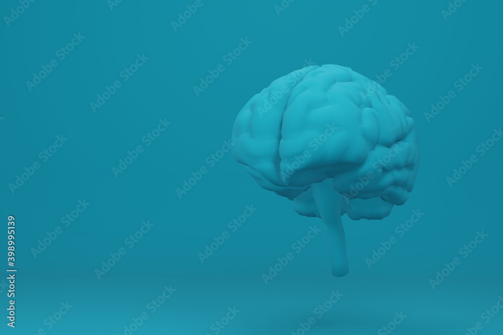 Brain human anatomy 3D - Isolated brain anatomy structure. Illustration ...