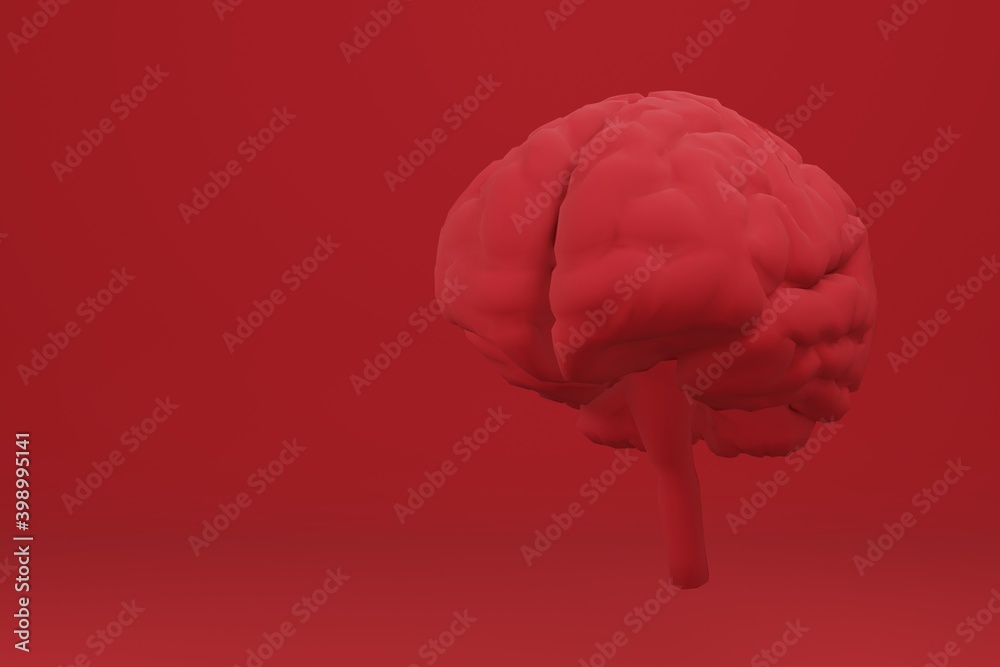 Brain human anatomy 3D - Isolated brain anatomy structure. Illustration ...