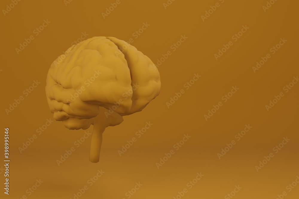 Brain human anatomy 3D - Isolated brain anatomy structure. Illustration ...