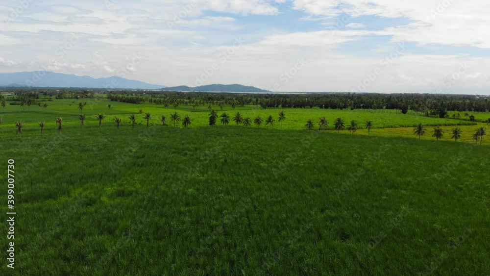 An aerial footage of vast sugarcane fields from the Philippines (Negros ...
