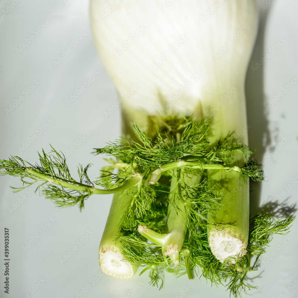 Macrofotografia : Foeniculum vulgare, de nombre común hinojo, planta ...