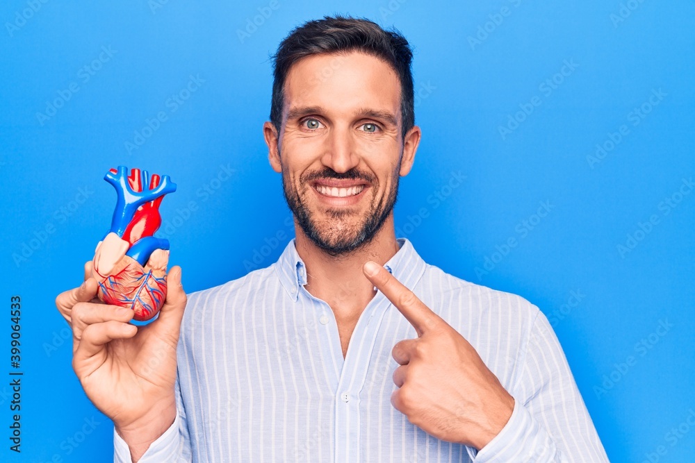 Young handsome man holding heart organ with veins and arteries over ...