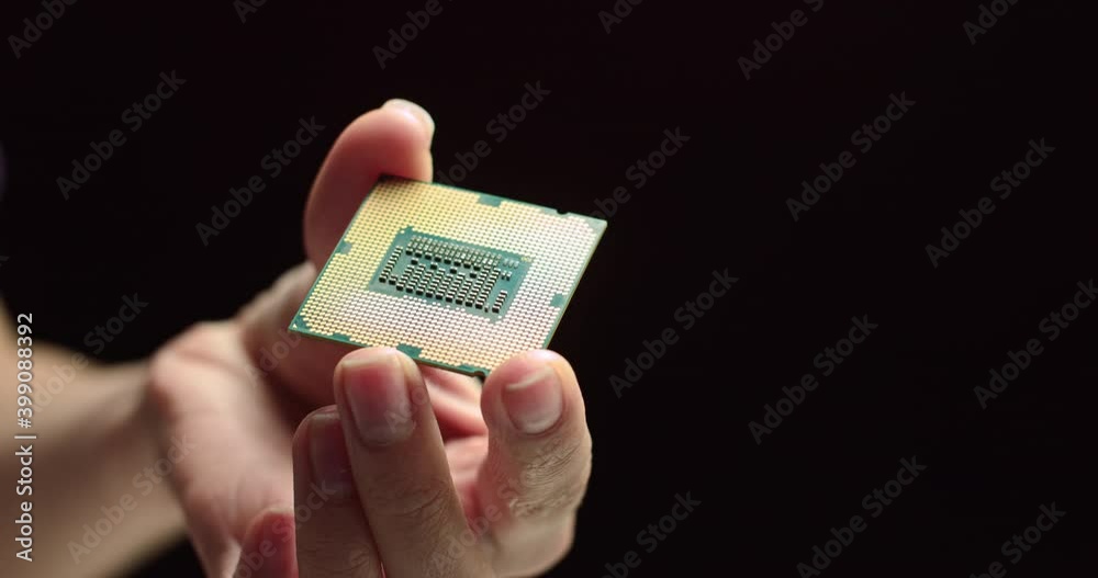 CPU in hands of a technician. The processor is being examined for ...