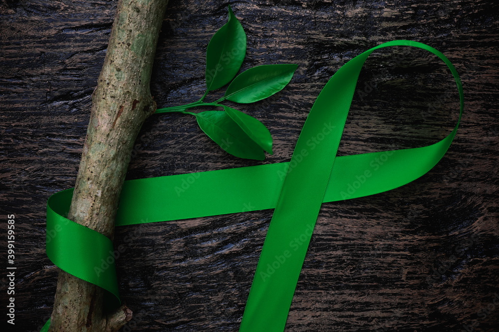 Top view of green color ribbon with tree leaf on dark background. Gall ...