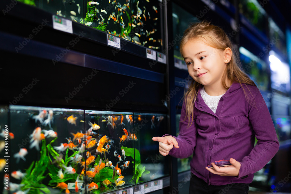 Exotic Home Fish Tanks