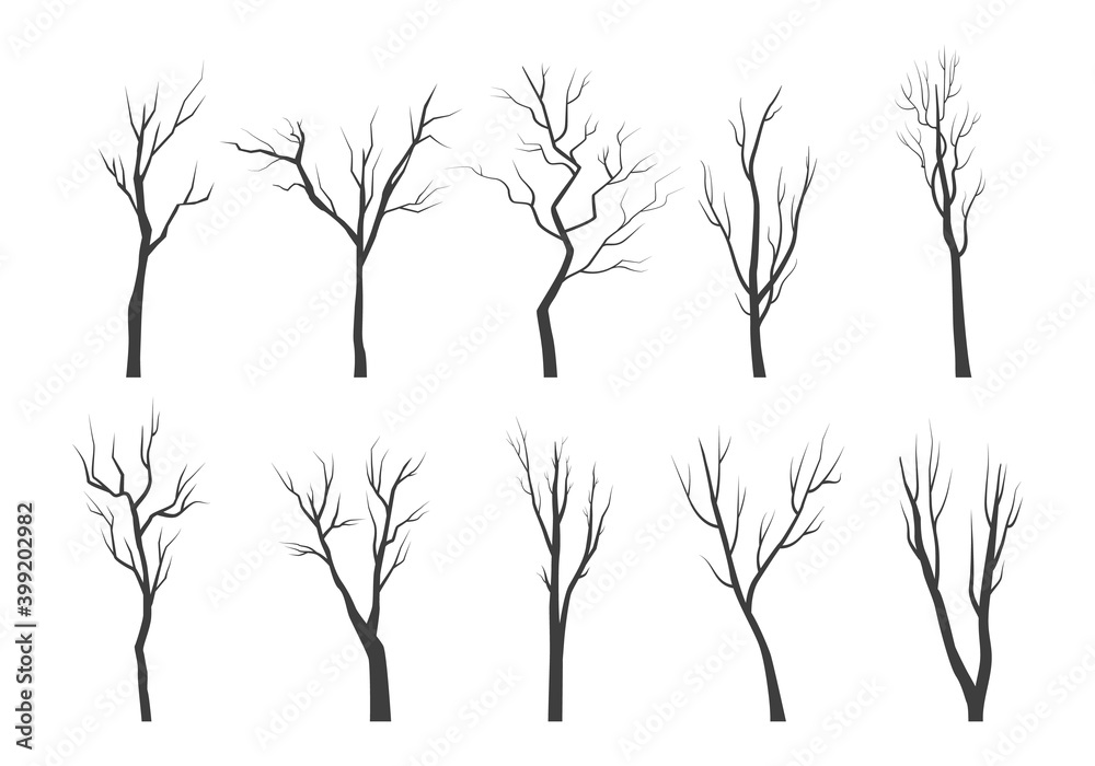 Tree branch silhouette set. Bare twisting stems of plants with various ...
