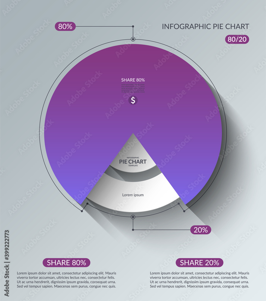 Infographic pie chart template. Share of 80 and 20 percent. Vector ...