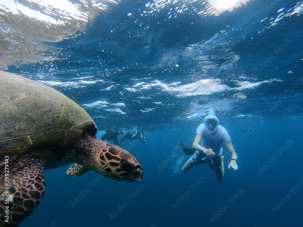 Young men exploring underwater coral reef landscape background in the ...