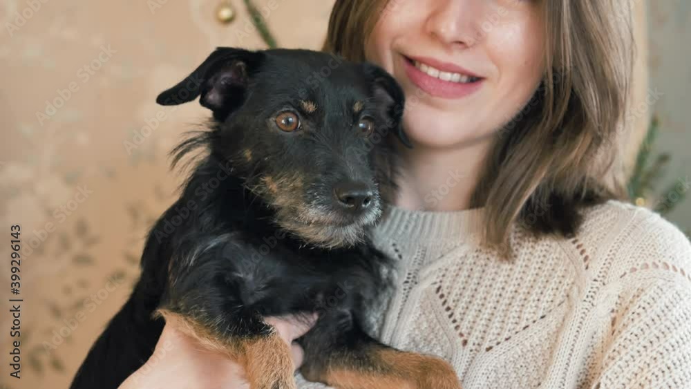 Beautiful young female holding a black small dog. Best friends - girl ...
