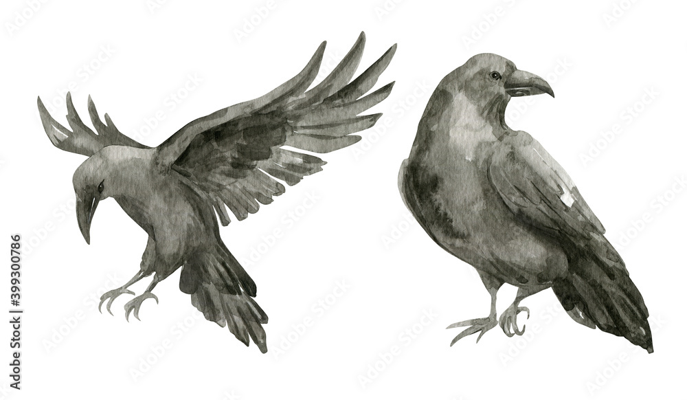 Crow Flying Away Drawing