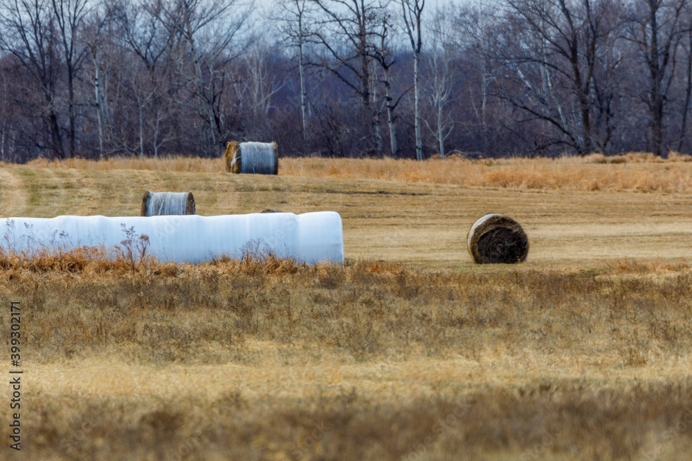 Wrapped round bales from an inline bale wrapper to make round bale ...