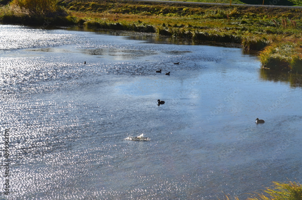 Mývatn, Myvatn lake, pseudocrater, Krafla, caldera, crater, volcano ...