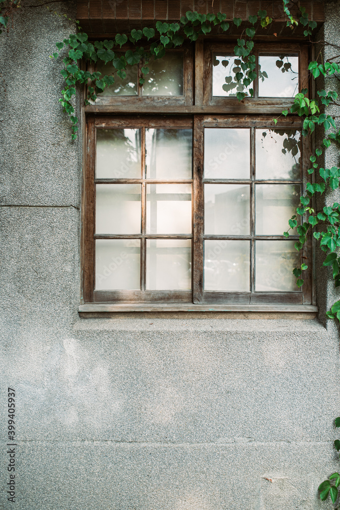 Vertical green wall with windows. Stock Photo | Adobe Stock