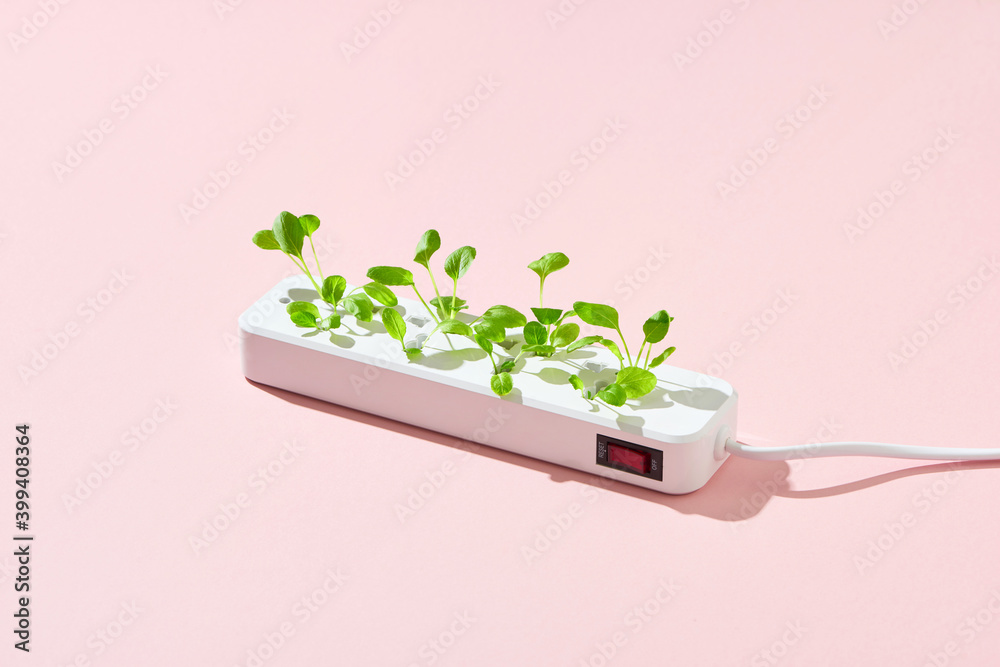 Green plug with a young green plant Stock Photo | Adobe Stock
