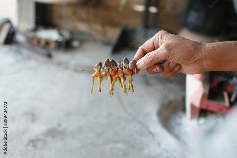 Woman's hand Stabbed a frog with a stick To cook Stock Photo | Adobe Stock