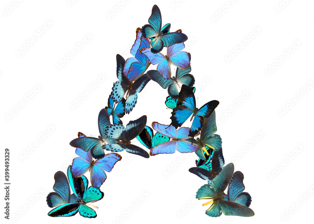 letter of blue butterfly Stock Illustration | Adobe Stock