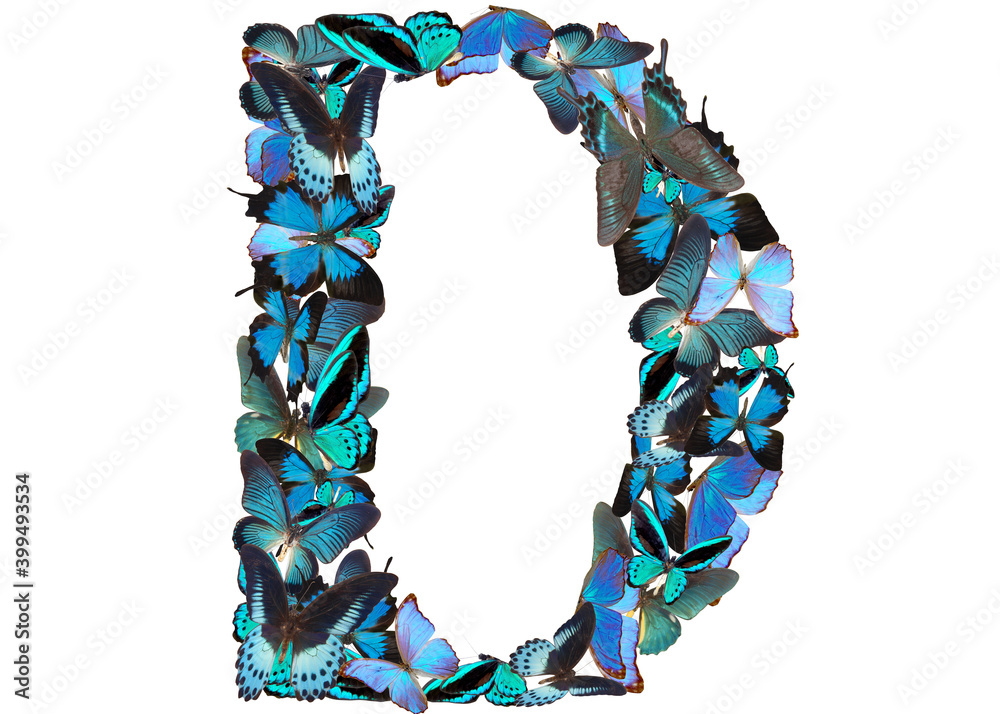 letter of blue butterfly Stock Illustration | Adobe Stock