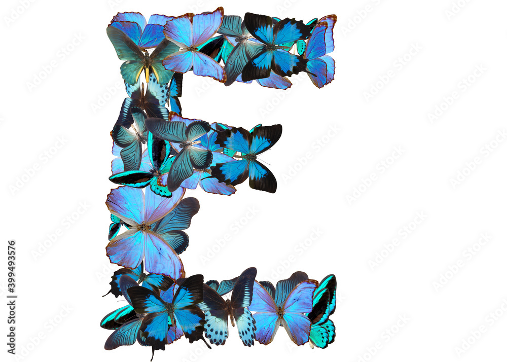 letter of blue butterfly Stock Illustration | Adobe Stock
