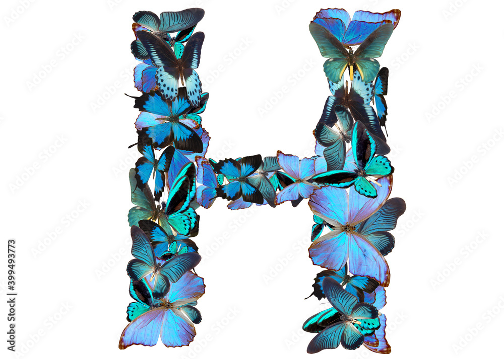 letter of blue butterfly Stock Illustration | Adobe Stock