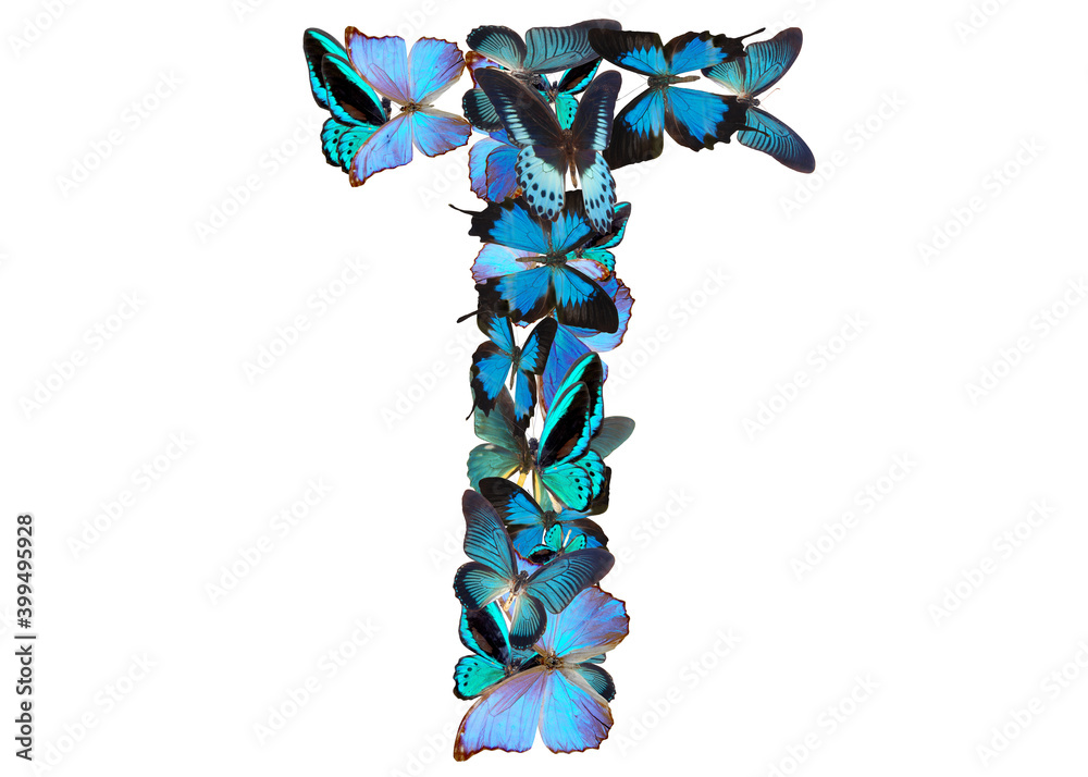 letter of blue butterfly Stock Illustration | Adobe Stock