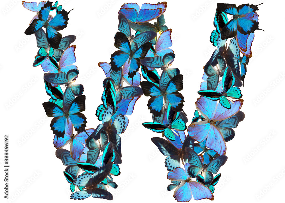 letter of blue butterfly Stock Illustration | Adobe Stock
