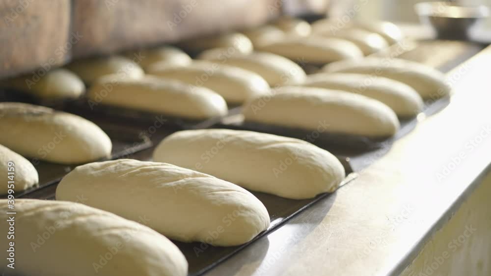 Process of preparing raw loaves of bread and loading them with conveyor ...