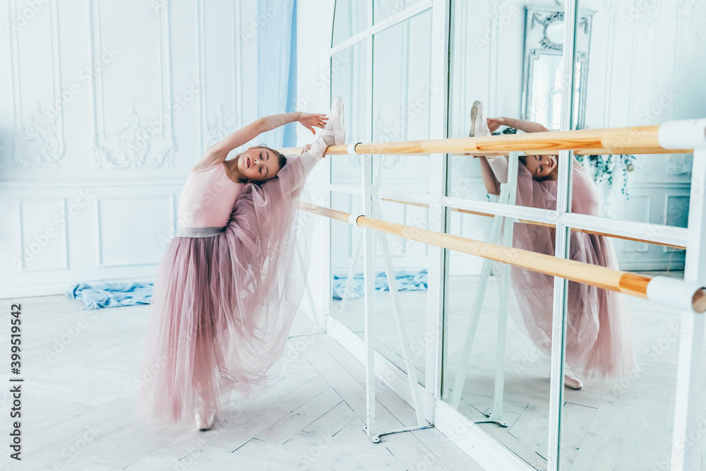 Beautiful graceful ballerina practice ballet positions in pink tutu ...