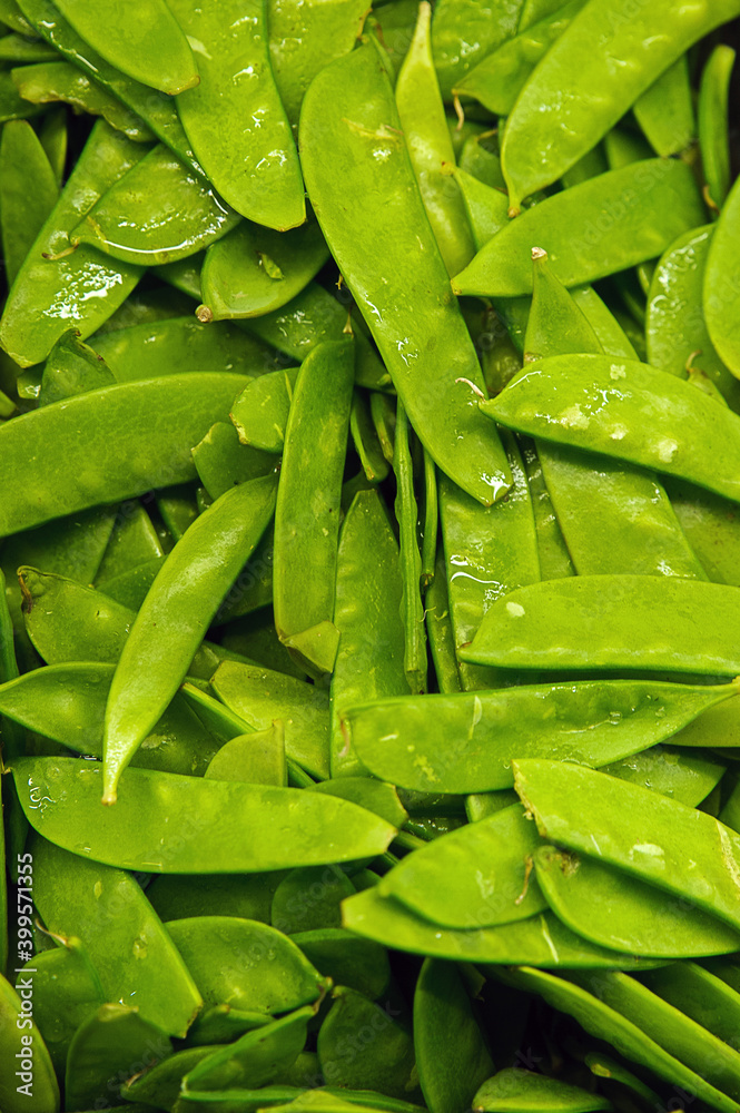 Wet and freshly picked helda beans also known as flat beans at the ...