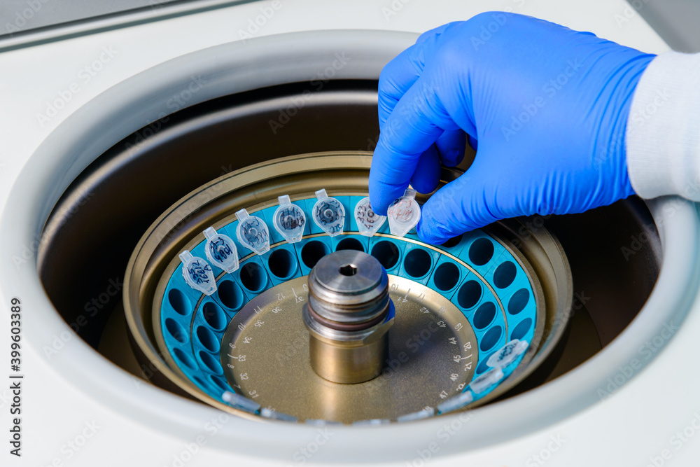 Researcher, scientist or laboratory assistant doing analysis of a ...