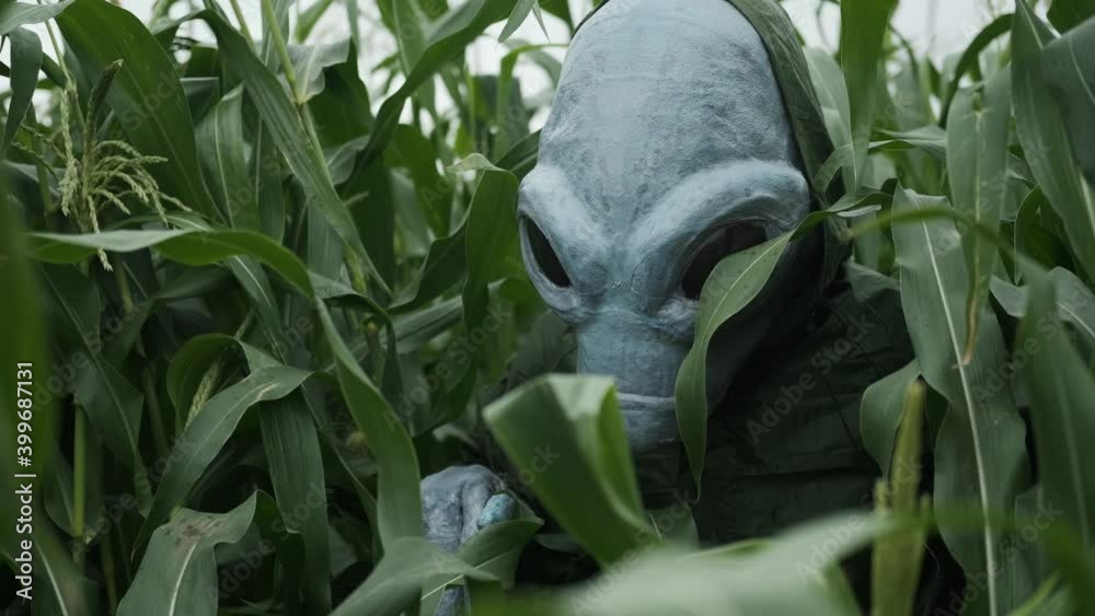 an alien in green suit stands in tall grass,making his way through ...