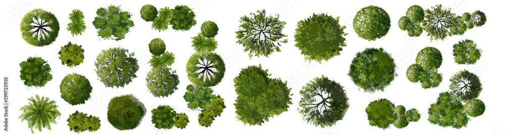 Collection of abstract watercolor green tree top view isolated on white ...