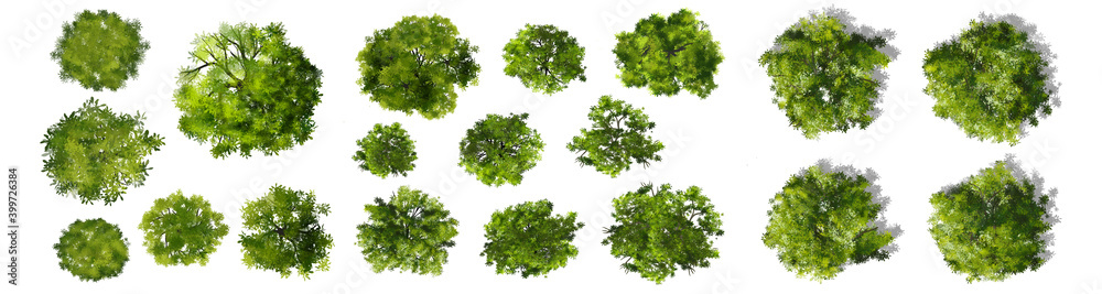 Collection of abstract watercolor green tree top view isolated on white ...