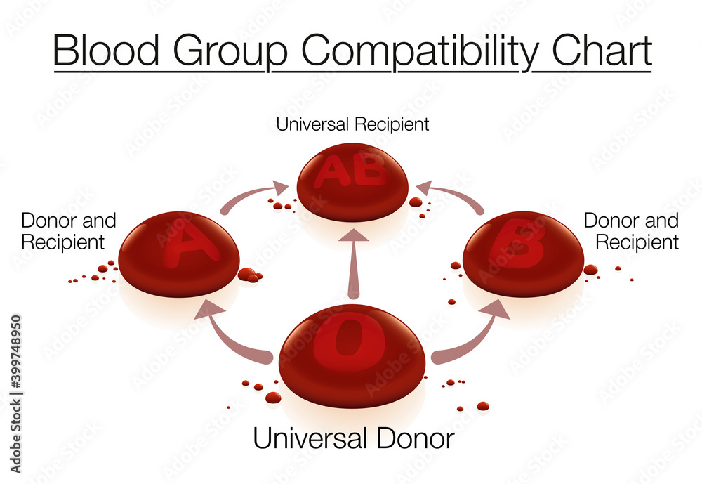 Blood group compatibility chart with universal donor 0 and universal ...