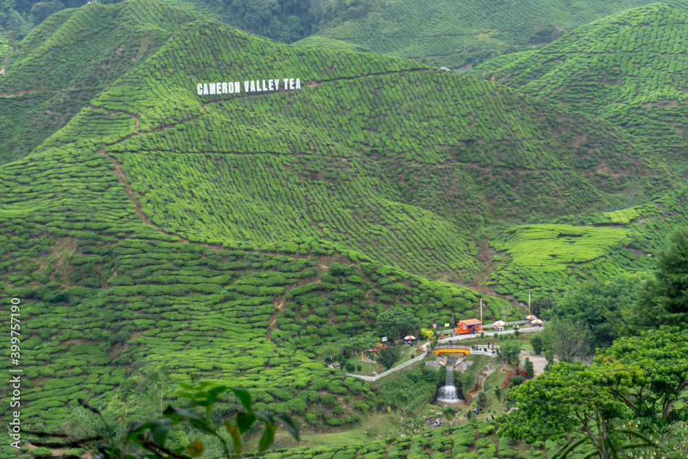 Panoramic view of the Cameron Highlands tea plantations in Malaysia ...