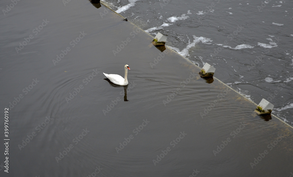 granite cubes cobblestone pavement. damaged by frequent travel of heavy ...