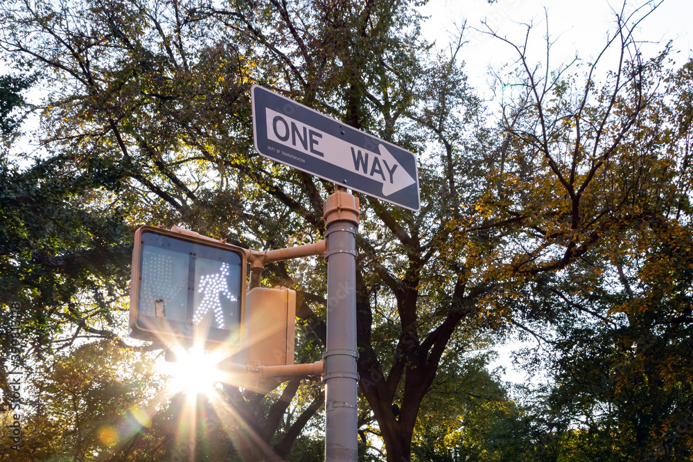 One way crosswalk road signs with rays of sunlight shining through the ...
