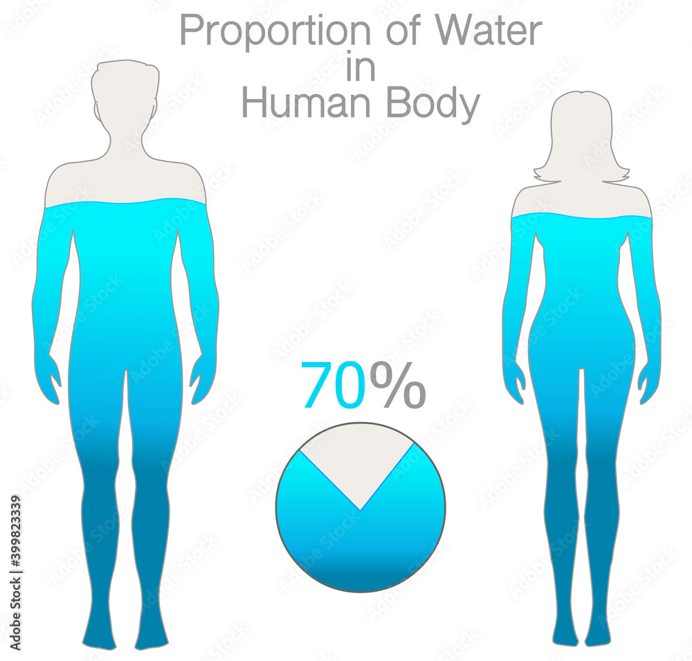 Water rate in the human body is seventy percent. Proportion h2o. Female ...