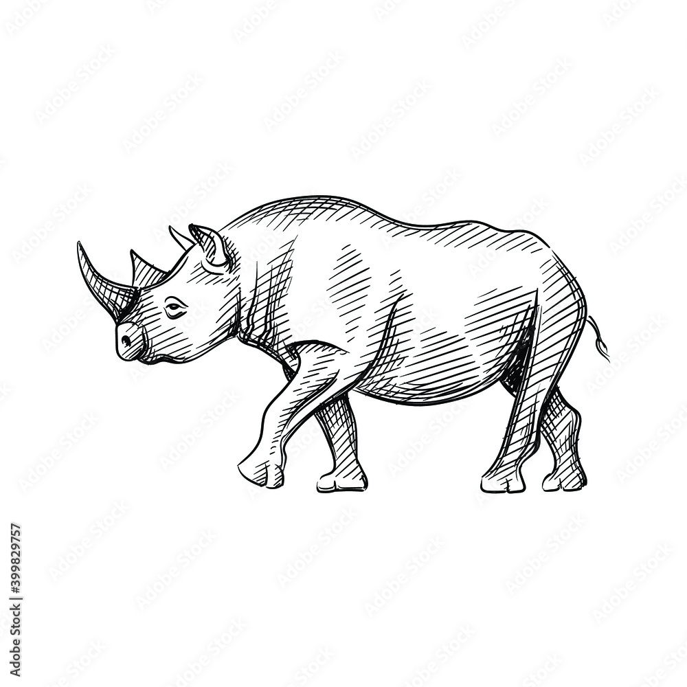 Hand-drawn black and white sketch of rhinoceros on a white background ...