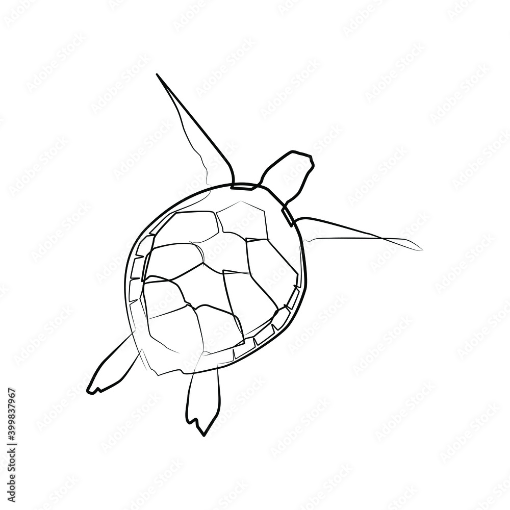 Sea turtle with one line. Black line vector illustration on white ...