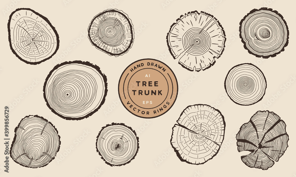 Wood Tree Trunk Rings - Hand Drawn Vector Set Stock Vector | Adobe Stock