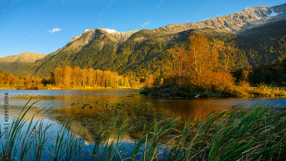 Autumn sunset panorama format photo of Cheam Lake Wetlands Regional ...