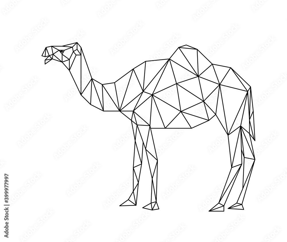 Isolated camel in low poly style on white background. Polygonal ...